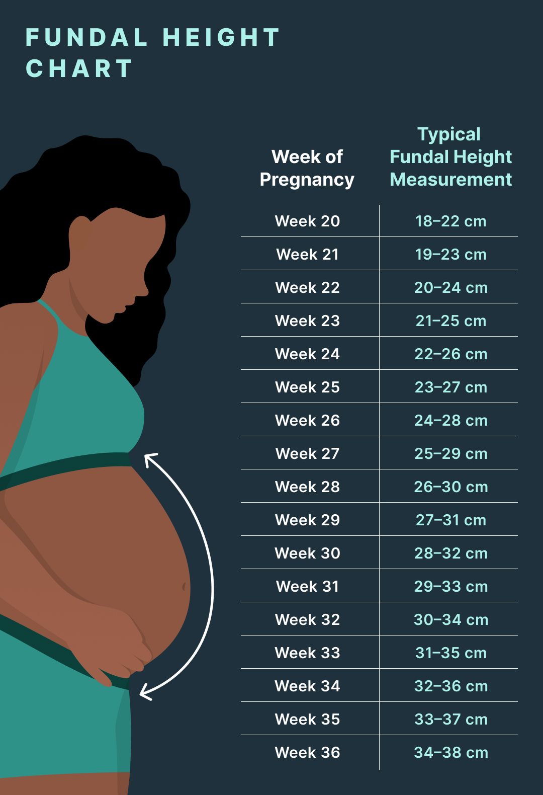 Fundal Height Measurement Guide Fundal Height By Week Dario Connect